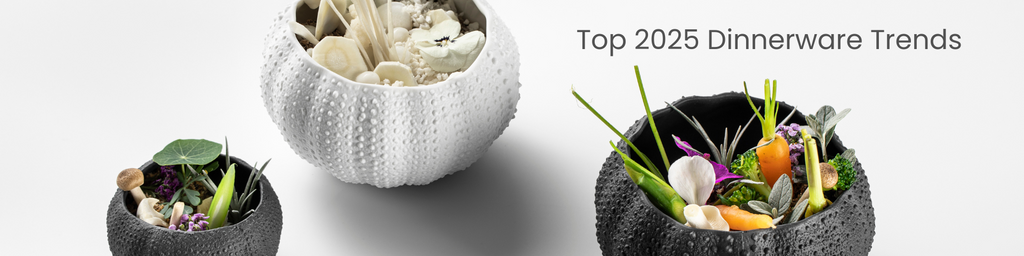 Top 2025 Dinnerware Trends You Need to Know | Catalonia Plates