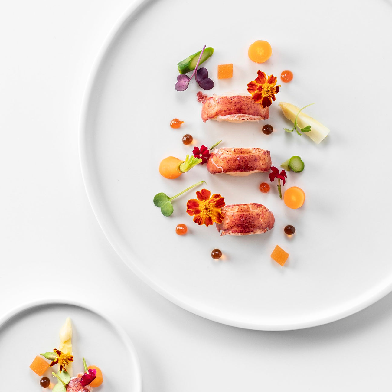 Sublime Catalog – Catalonia Plates
