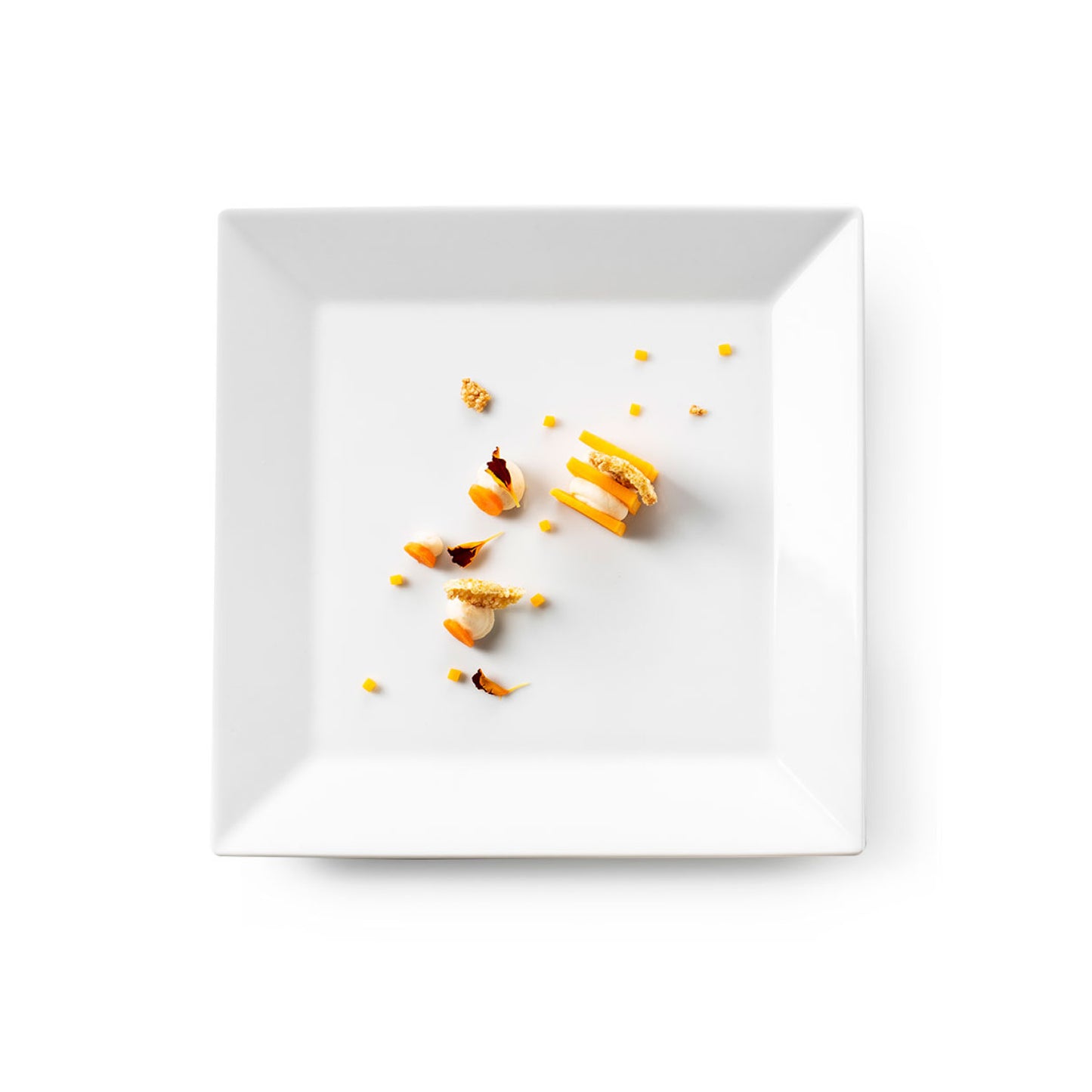 SQUARE FLAT PLATE 27CM – Catalonia Plates